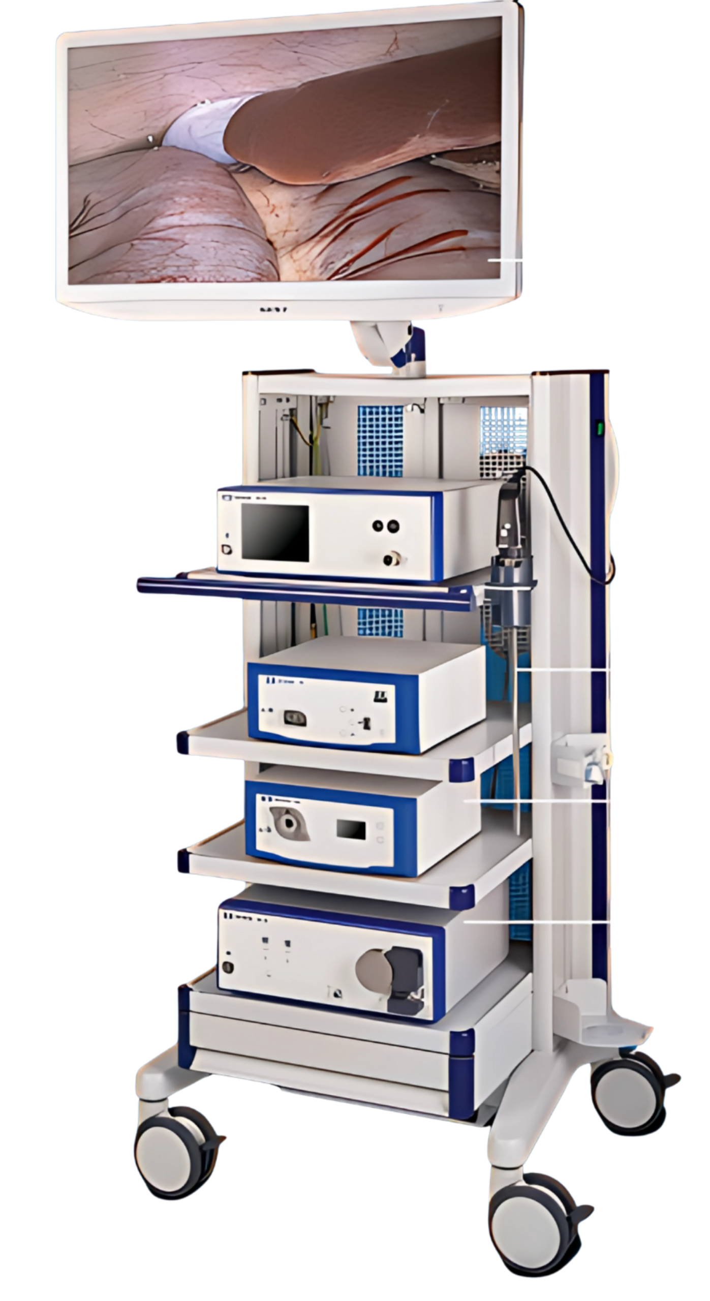 EleVision™ 4K Systems and Platforms - Karayel Sağlık